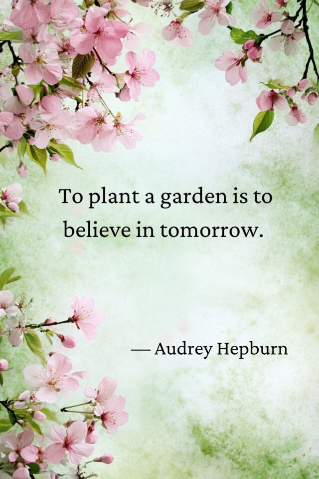 85 Spring Sayings That'll Put a Skip in Your Step