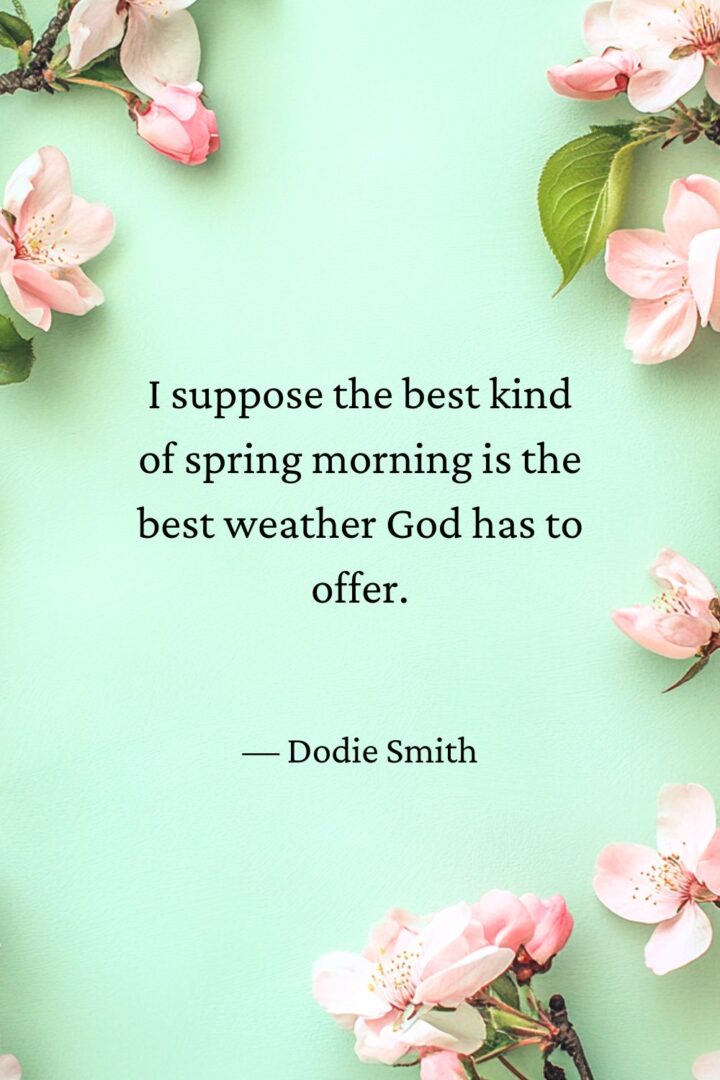 85 Spring Sayings That'll Put a Skip in Your Step